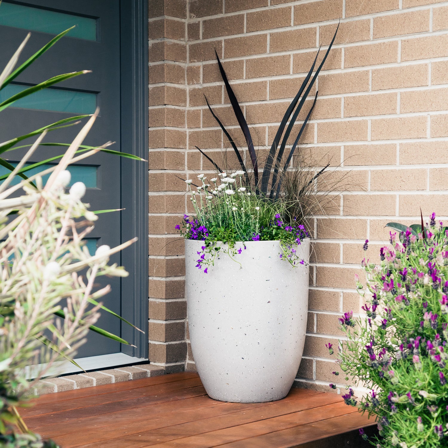 Modern Cottage Garden – Northcote Pottery