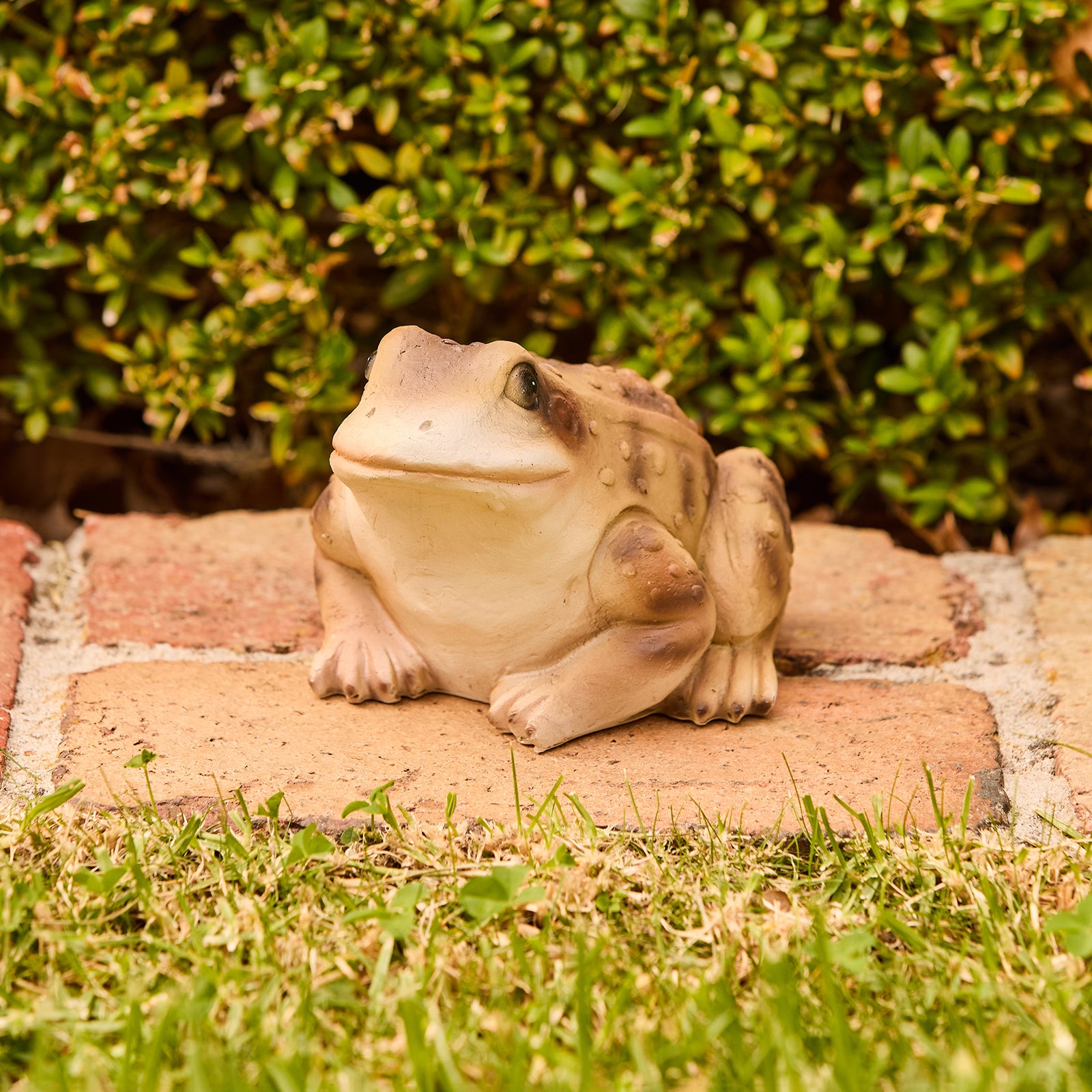 Frog Garden Statue – Northcote Pottery