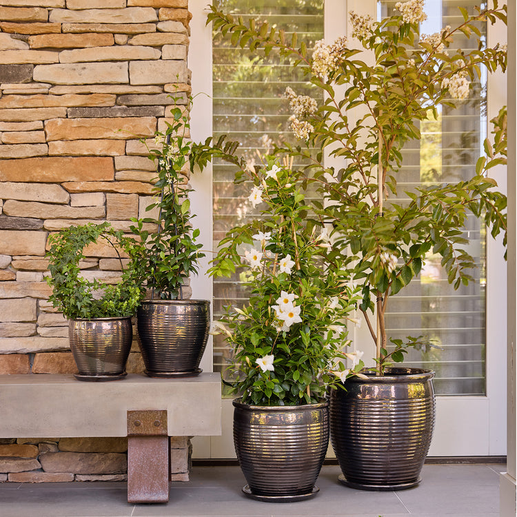 Northcote Pottery | The container gardening experts