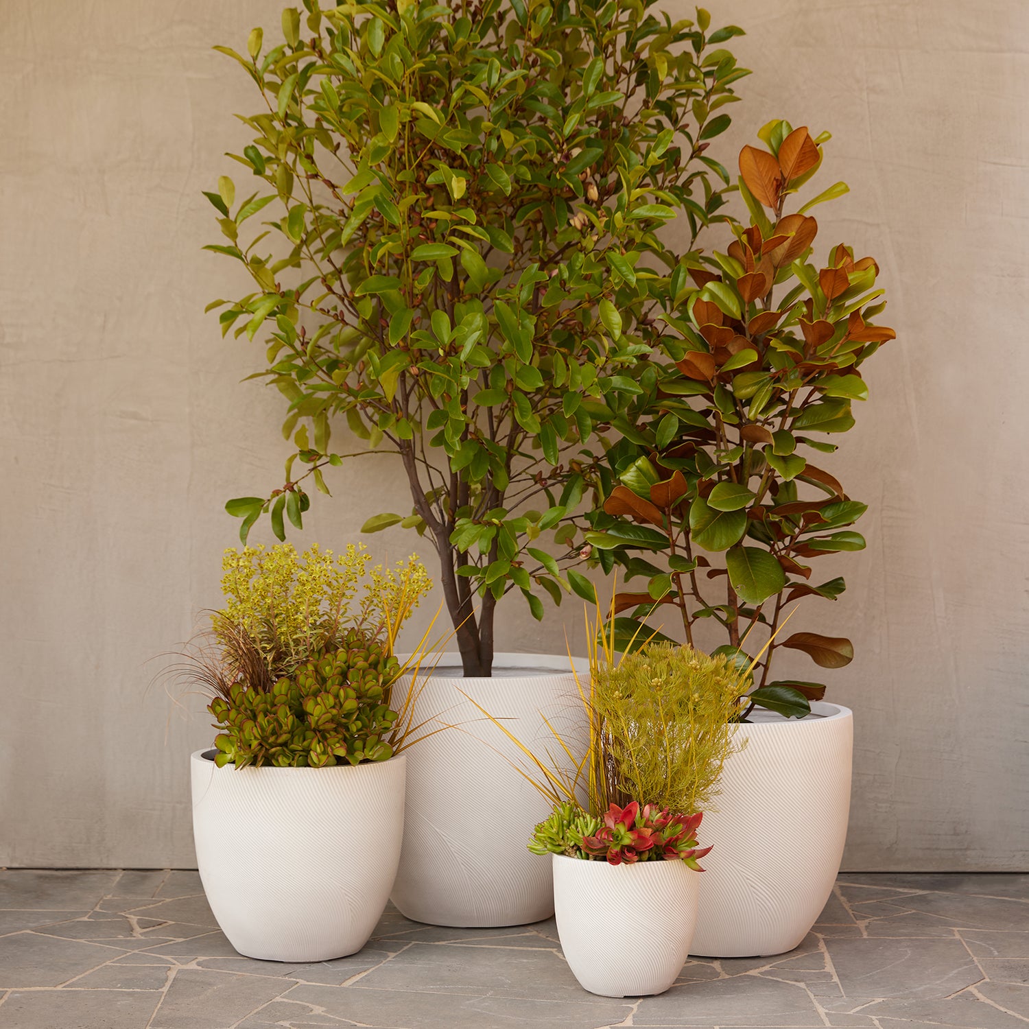 Northcote Pottery | The container gardening experts