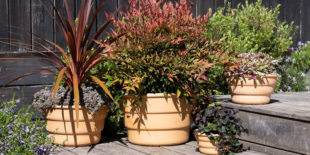 Northcote Pottery | The container gardening experts