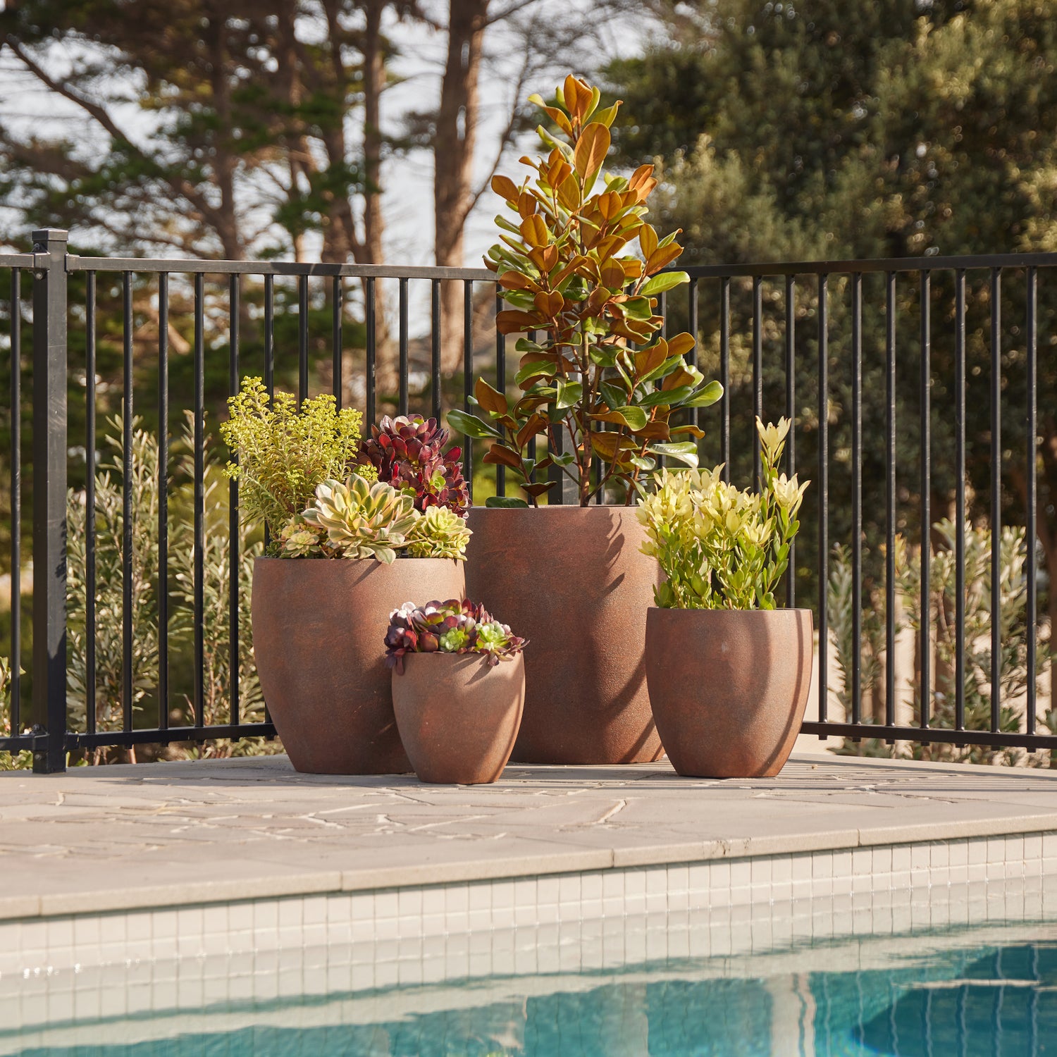 Northcote Pottery | The container gardening experts