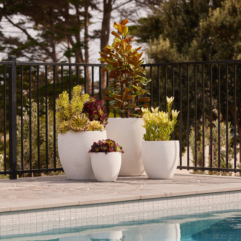 Montague Egg Pot – Northcote Pottery