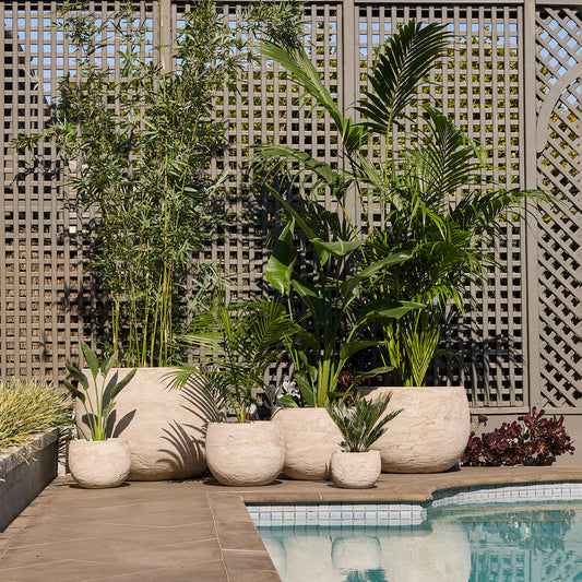 Large Outdoor Pots – Northcote Pottery