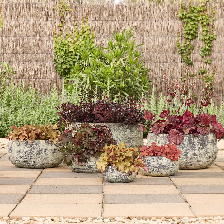 Products – Northcote Pottery