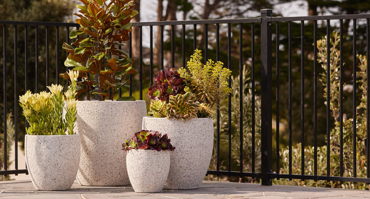 Northcote Pottery | The container gardening experts