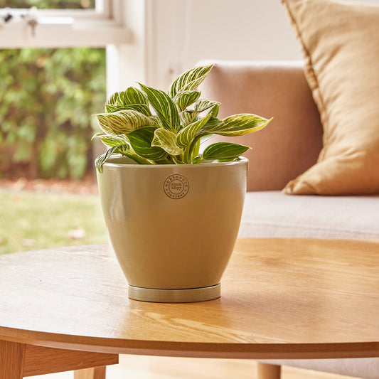Pots and Planters – Northcote Pottery