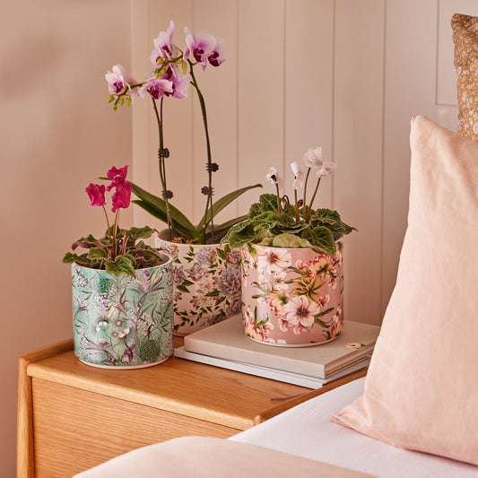 Pots and Planters – Northcote Pottery