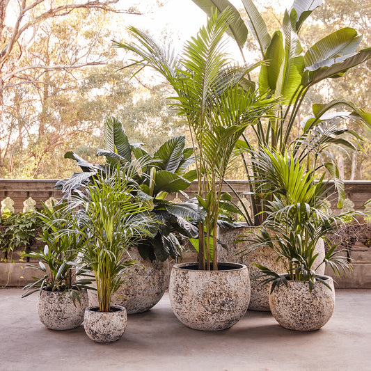 Large Outdoor Pots – Northcote Pottery