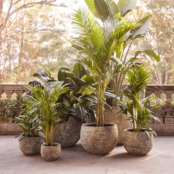 Large Outdoor Pots – Northcote Pottery