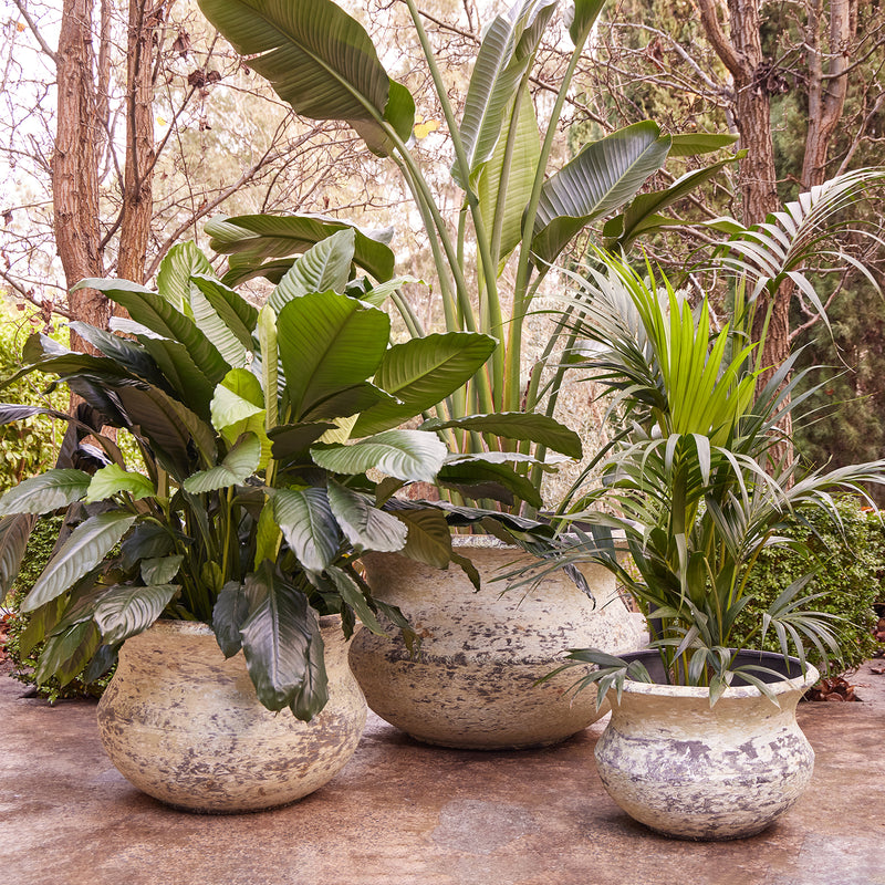 Triton Belly Pot – Northcote Pottery