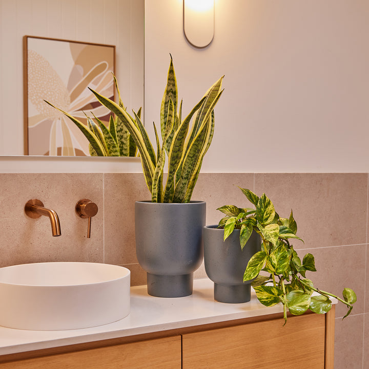 Pots and Planters – Northcote Pottery