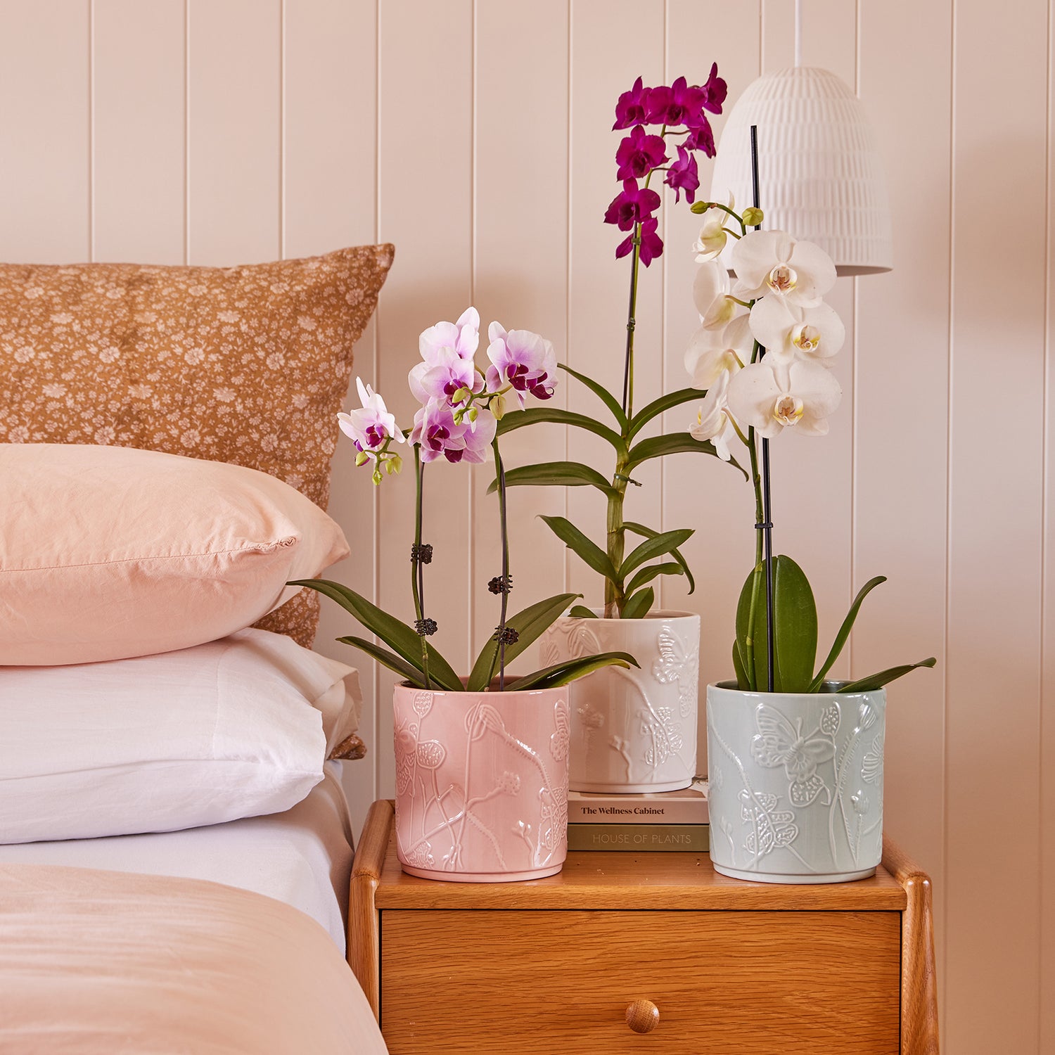 Northcote Pottery | The container gardening experts