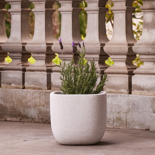 Outdoor Pots | Northcote Pottery