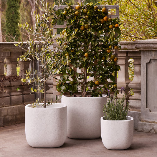 Outdoor Pots | Northcote Pottery