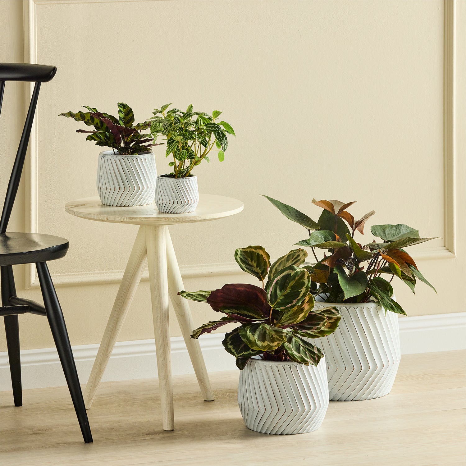 Northcote Pottery | The container gardening experts