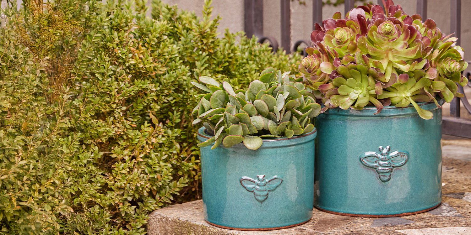 Northcote Pottery | The container gardening experts