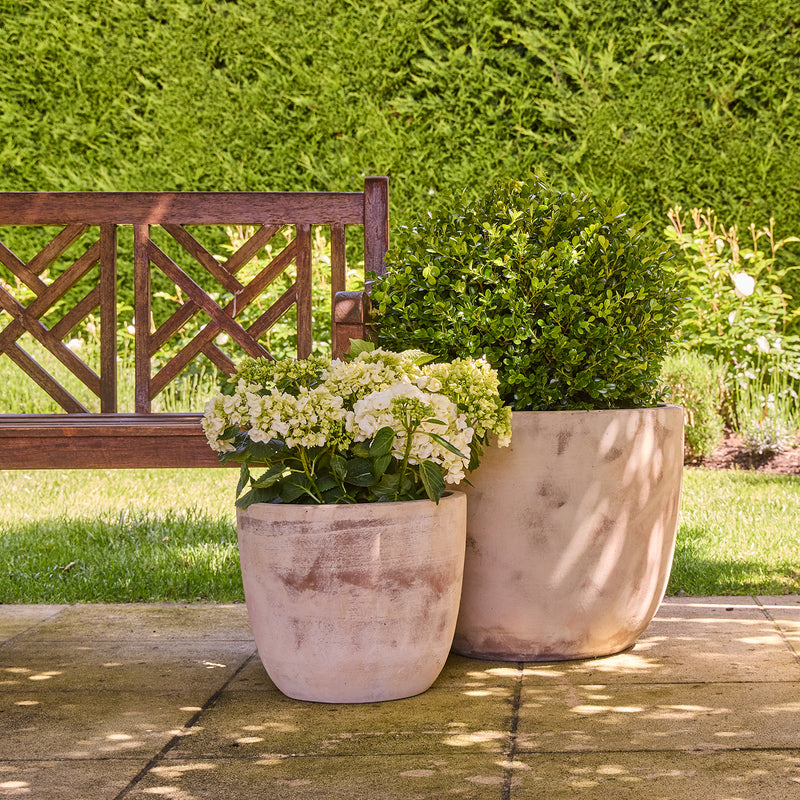 Palermo Egg Pot – Northcote Pottery