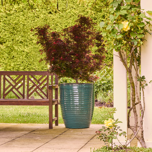 Pots and Planters – Northcote Pottery