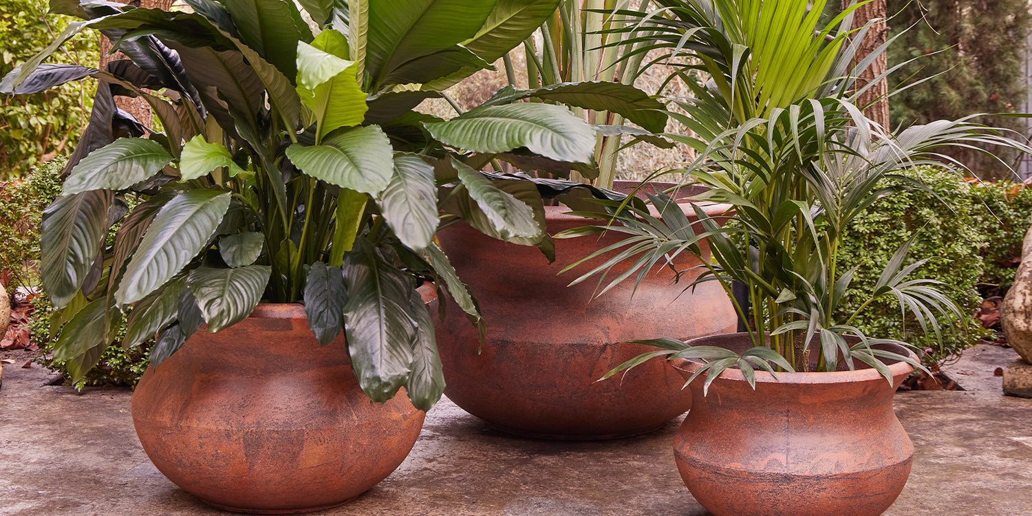 Northcote Pottery | The container gardening experts
