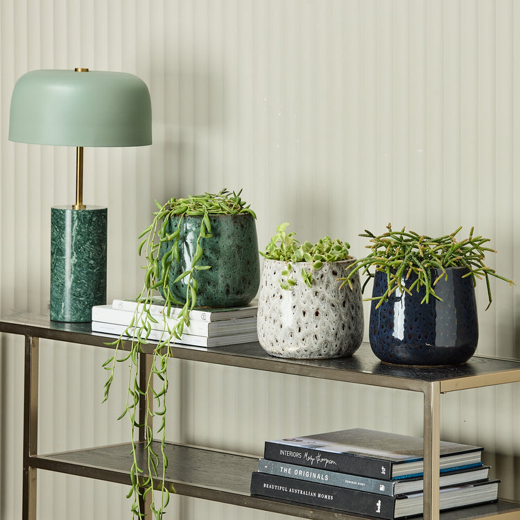 Northcote Pottery | The container gardening experts