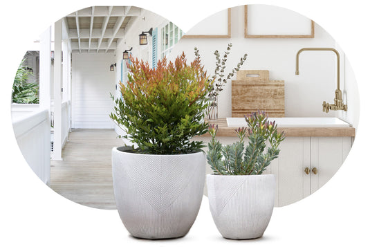 Coastal Style – Northcote Pottery