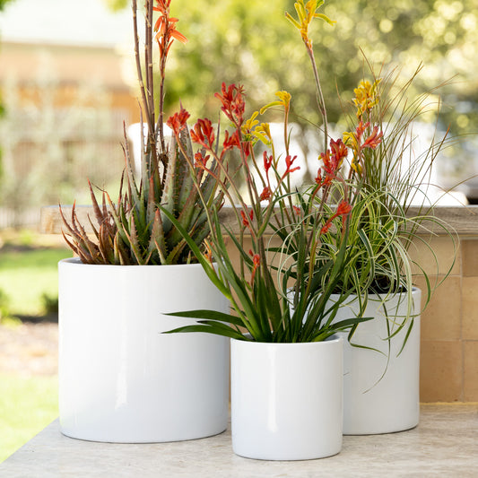 Outdoor Pots – Northcote Pottery