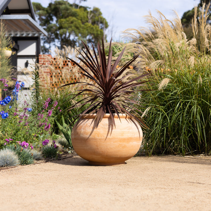 Outdoor Pots | Northcote Pottery