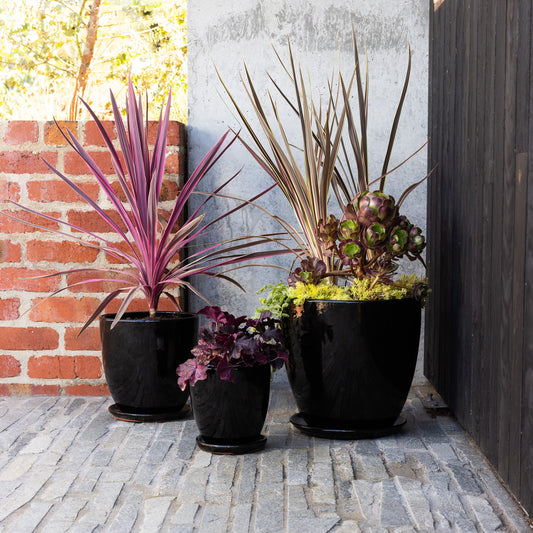 Pots and Planters – Northcote Pottery
