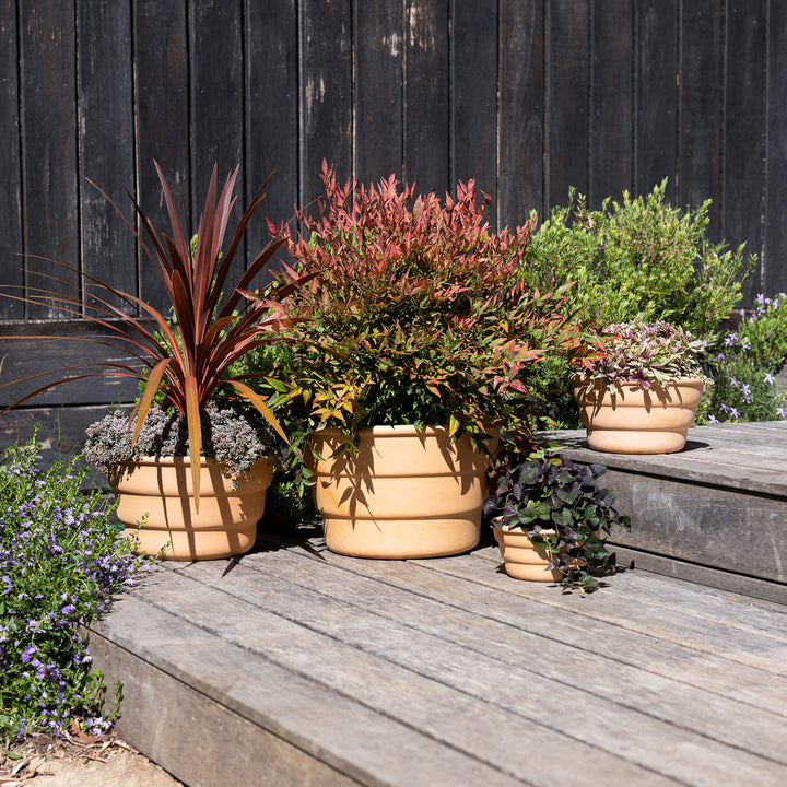 Pots and Planters – Northcote Pottery