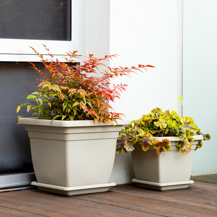 Pots and Planters – Page 6 – Northcote Pottery